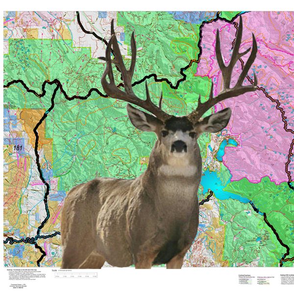 COLORADO - Hunt Data