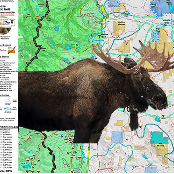 COLORADO - Hunt Data